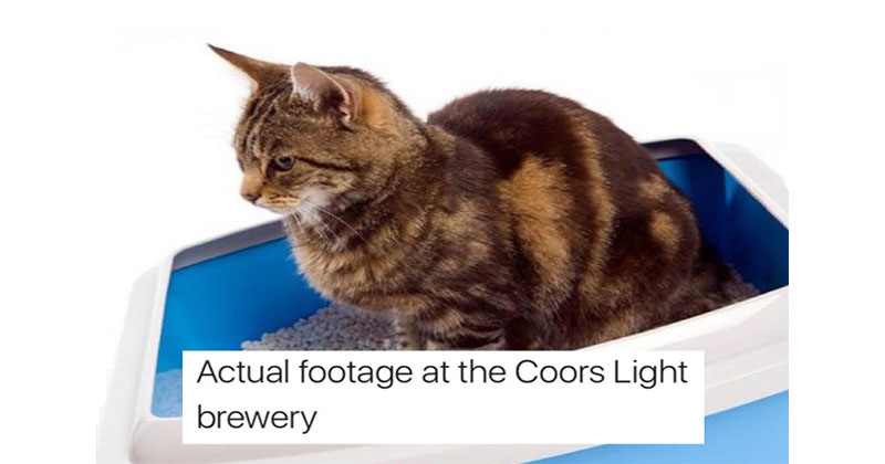 Celebrate International Beer Day With 20 Refreshing Beer Memes ...