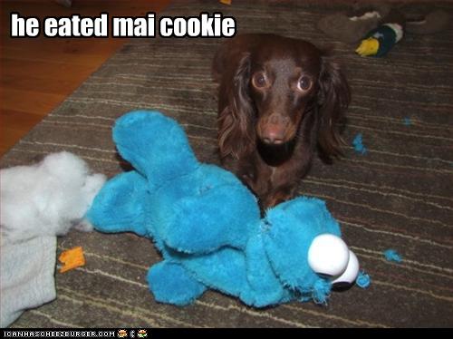 I Has A Hotdog - Dog Pictures - Funny pictures of dogs - Dog Memes ...