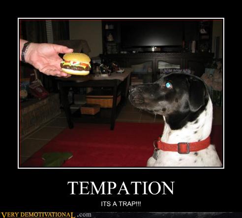 Temptation Movie Memes