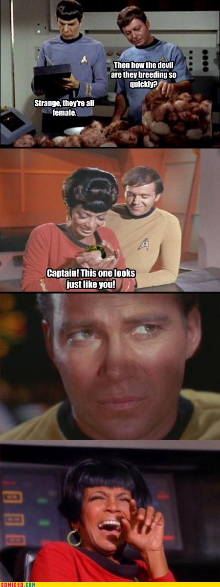 Web Comics - 4koma comic strip, webcomics, web comics