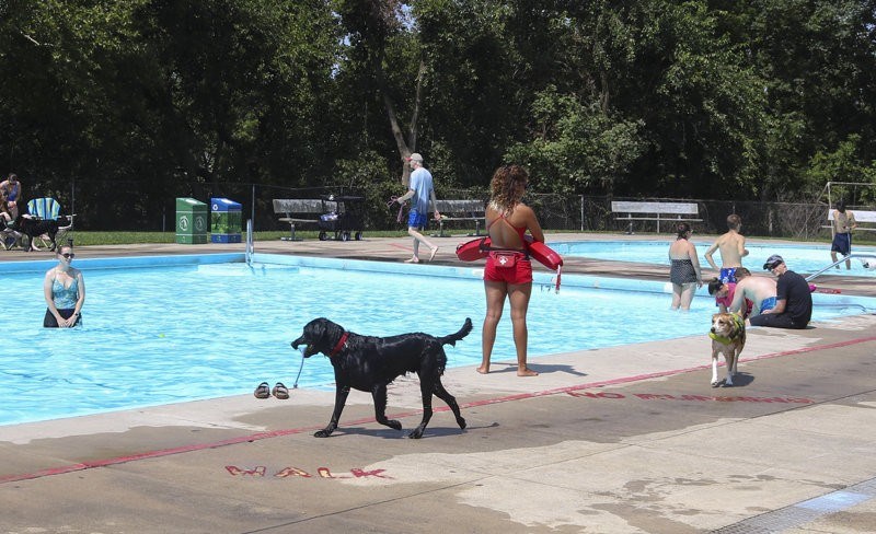 Small Town Gives Dogs Their Own Pool Day - I Can Has Cheezburger?