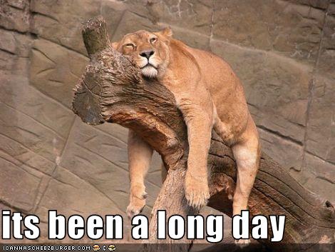 Chapter 184 – Day 399 (Part 8) – The End Of A Long Day With More To ...