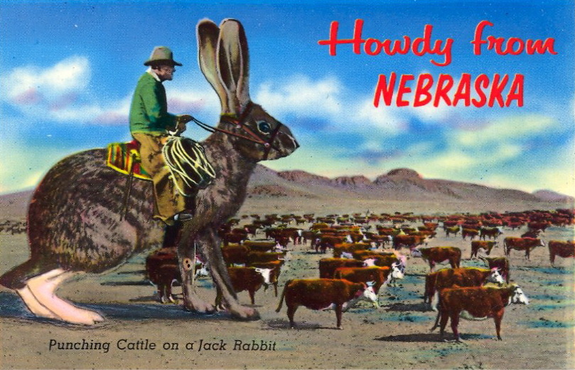 Jack Rabbit Hunting Memes