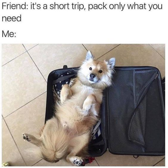 18 Hilarious Memes That You And Your Dog Can Relate To! - I Can Has ...