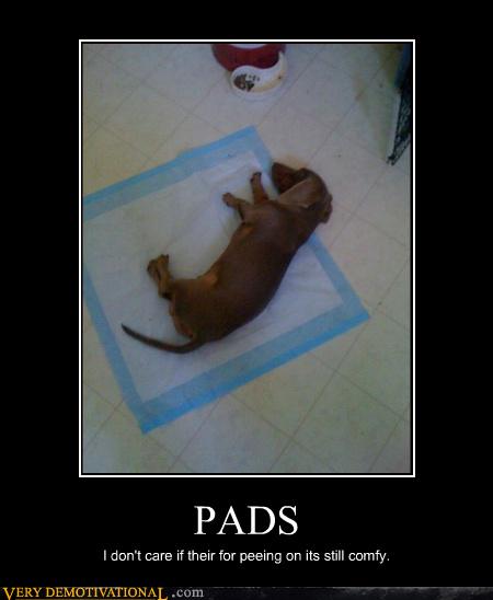 Memebase - pad - All Your Memes In Our Base - Funny Memes - Cheezburger