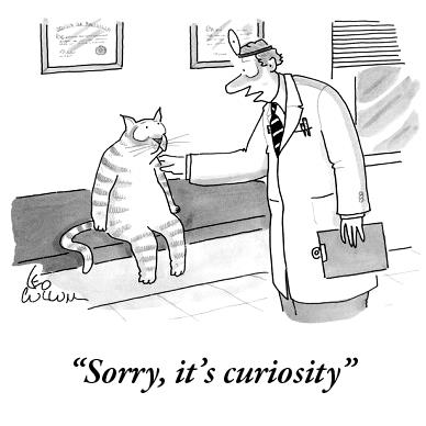 When Curiosity Killed The Cat (17 Memes And Comics) - I Can Has ...