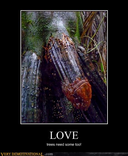 Tree Huggers Beware - Very Demotivational - Demotivational Posters ...