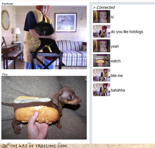 Art of Trolling - Troll | Trolling | Yahoo Answers | Omegle