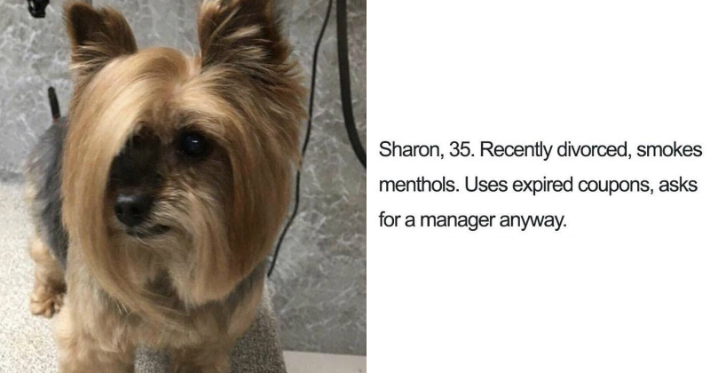 25 Dogs If They Were Humans - FAIL Blog - Funny Fails