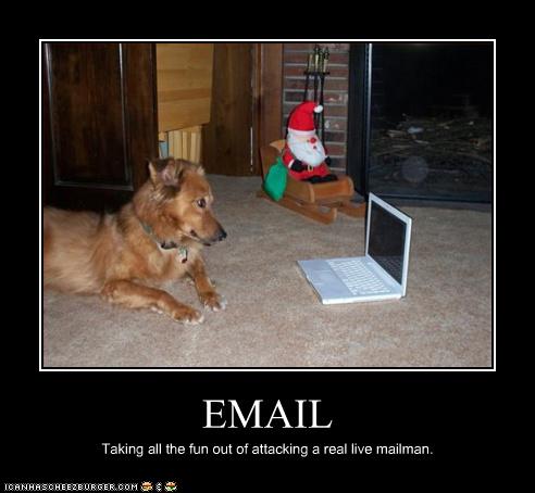 I Has A Hotdog - email - Funny Dog Pictures | Dog Memes | Puppy ...