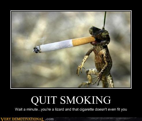 Lizards Are Cool - Very Demotivational - Demotivational Posters | Very ...