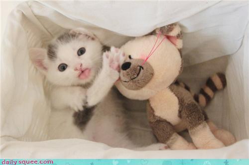 Daily Squee - Cute Animals - Cute Baby Animals - Cute Animal Pictures ...