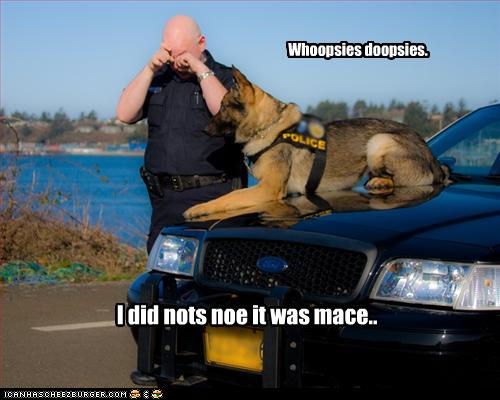 I Has A Hotdog - Dog Pictures - Funny pictures of dogs - Dog Memes ...