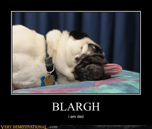 Memebase - dead - Page 4 - All Your Memes In Our Base - Funny Memes ...