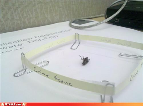 Monday Thru Friday - job fails