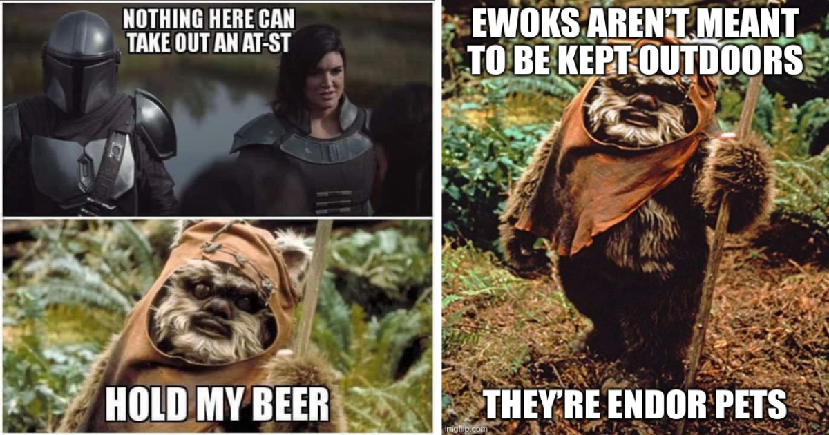 25 Cute and Cuddly Ewok Memes Straight From the Forest Moon of Endor ...