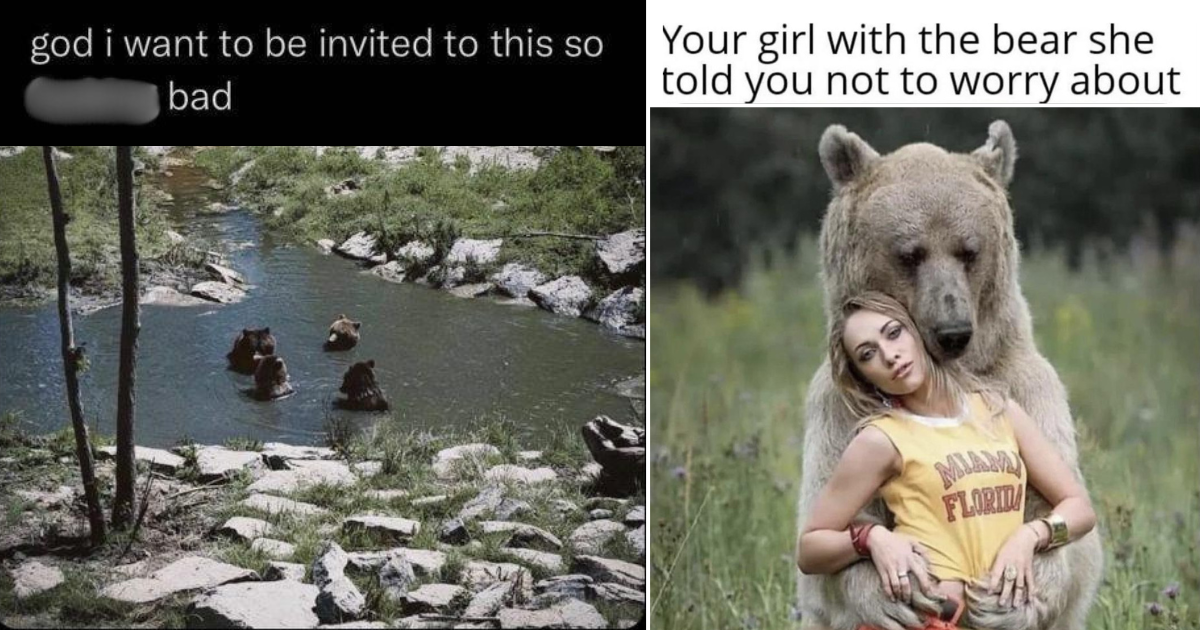 24 Unbearable Animal Memes to Hibernate Through Monday - Animal Comedy ...