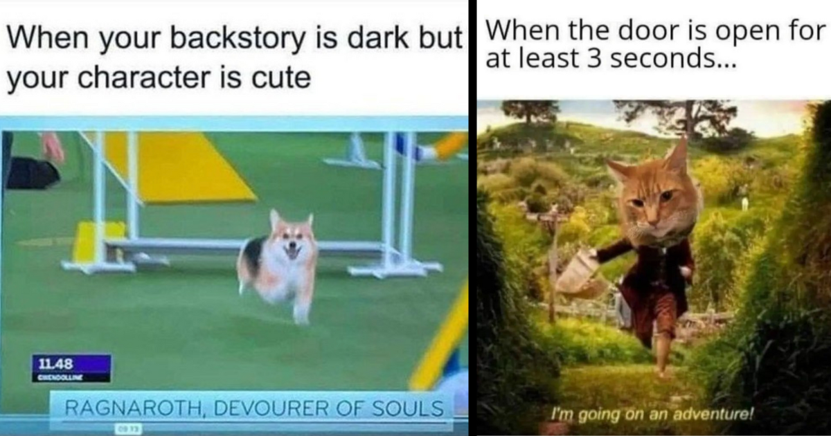 25 Funny Animal Memes to Celebrate Our Impending Escape From The 9-5 ...