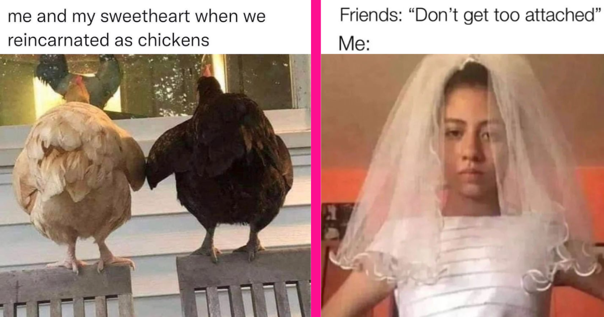 30 Long-Term Relationship Memes for Devoted Couples Who Truly ...