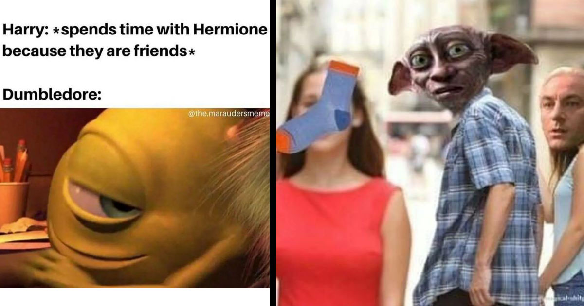 The Best Harry Potter Memes of the Week (June 5, 2024) - Memebase ...