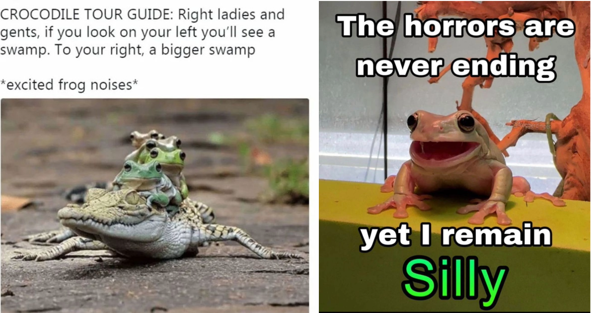 23 Fresh Frog Funnies For Wholesome Hoomans Looking For A Bounce In ...