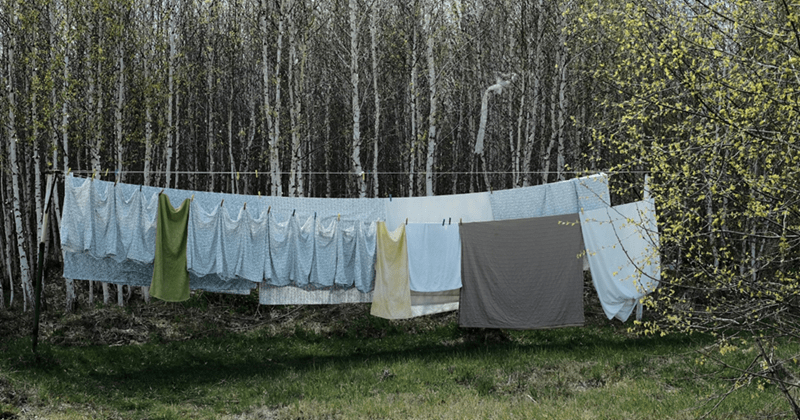 Frugal American Redditor hangs laundry instead of using a dryer ...