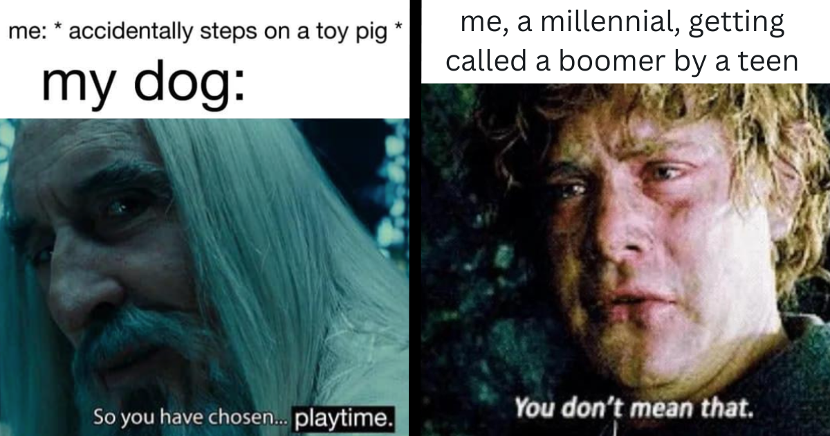 Gimme Fuel Gimme Fire Gimme Hobbits From The Shire Lotr Memes Memes