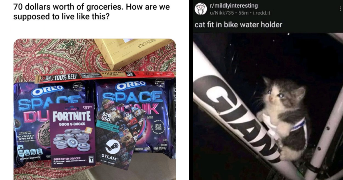 The Most Entertaining Reddit Posts of the Week (June 7, 2024 ...