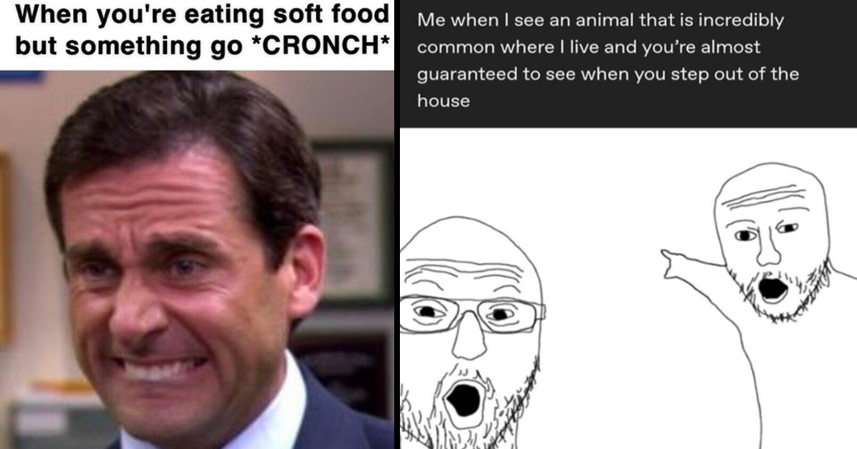 Memebase - dank memes - Page 2 - All Your Memes In Our Base - Funny ...