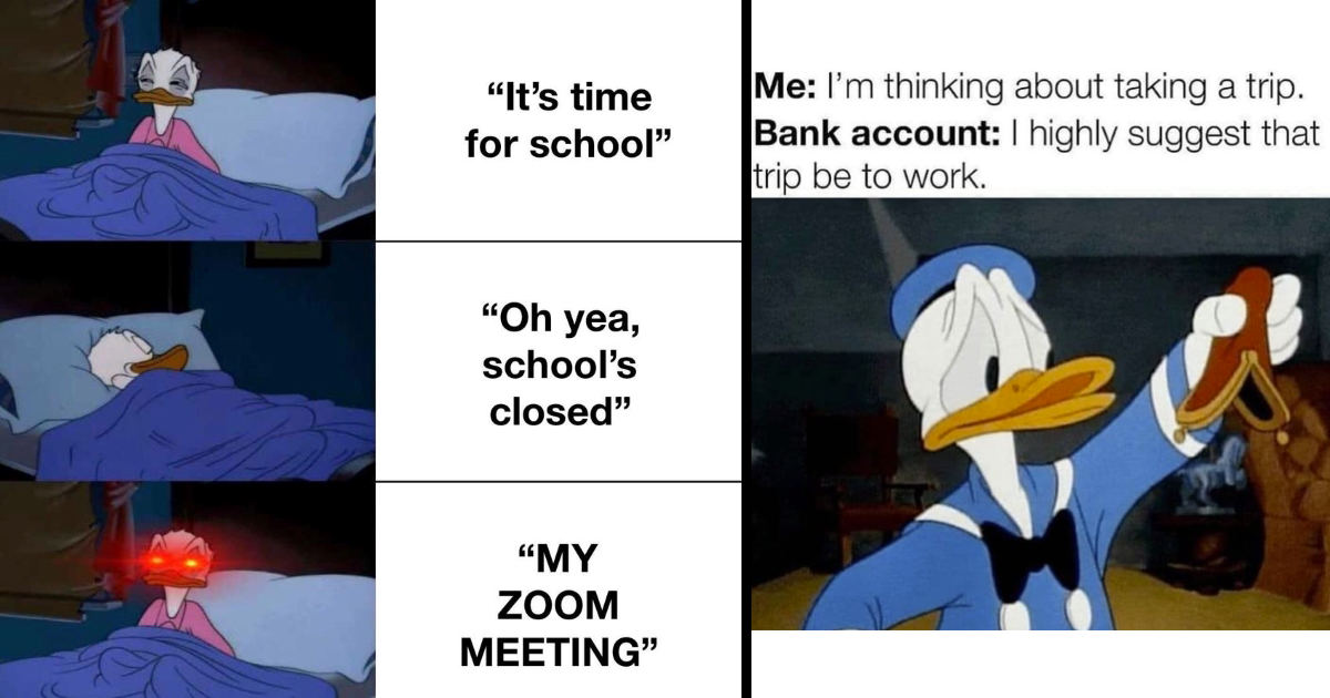 Quacking Donald Duck Memes for Disney Lovers and Meme Connoisseurs ...