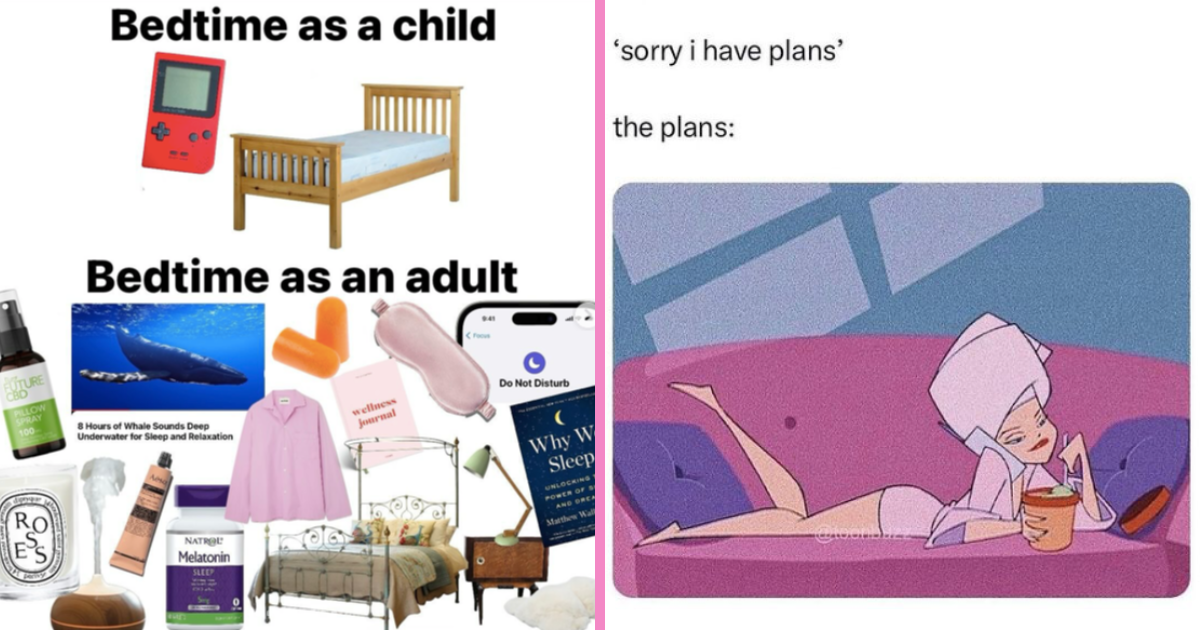 30 Memes for Sleeping Beauties That Prioritize Snoozing Over Shmoozing ...