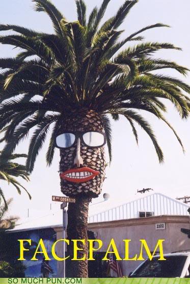 Puns - Palm Tree - Funny Puns - Pun Pictures - Cheezburger