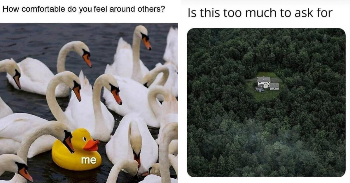 32 Introvert Memes for People Who Prefer to Be Left Alone - Geek ...