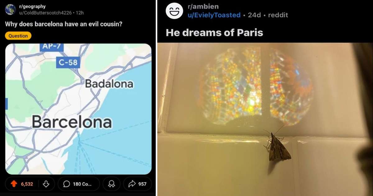 The Most Entertaining Reddit Posts of the Week (June 14, 2024 ...