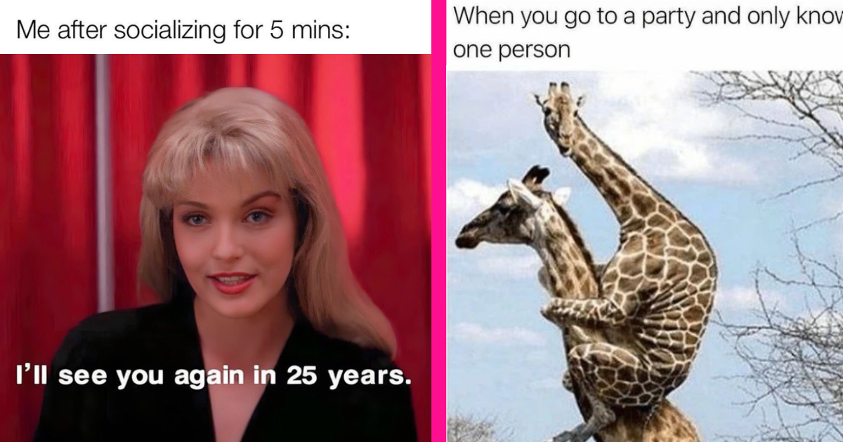 30 Immaculate Introvert Memes for the Introspective Girlies Waiting for ...