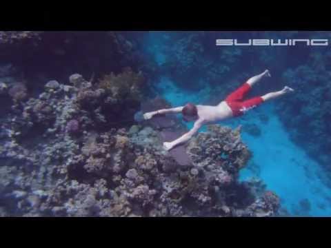 Flying Underwater WIN - WIN! - epic win photos