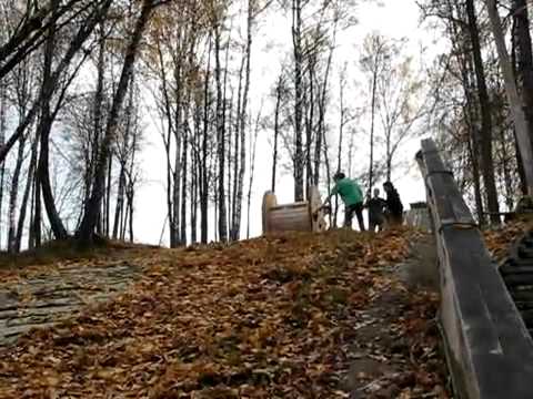 Future Darwin Award Recipients of the Day - The Daily What - Daily Dose ...