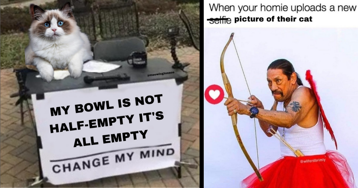 A Helping Handful of Cat Memes to Purrfectly Pounce Out of the Office ...