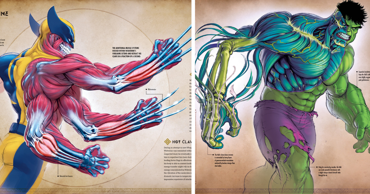 Artist Jonah Lobe Shows Us the Anatomy of Our Favorite Marvel ...