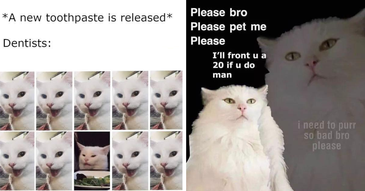 30 Wondrous Whiskery Wonders in the Form of Feline Funnies to Warm Your ...