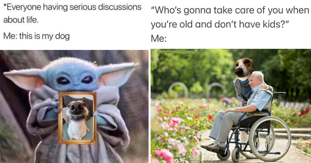 29 Dog Parenting Memes for People Choosing Paws Over Pacifiers - Animal ...