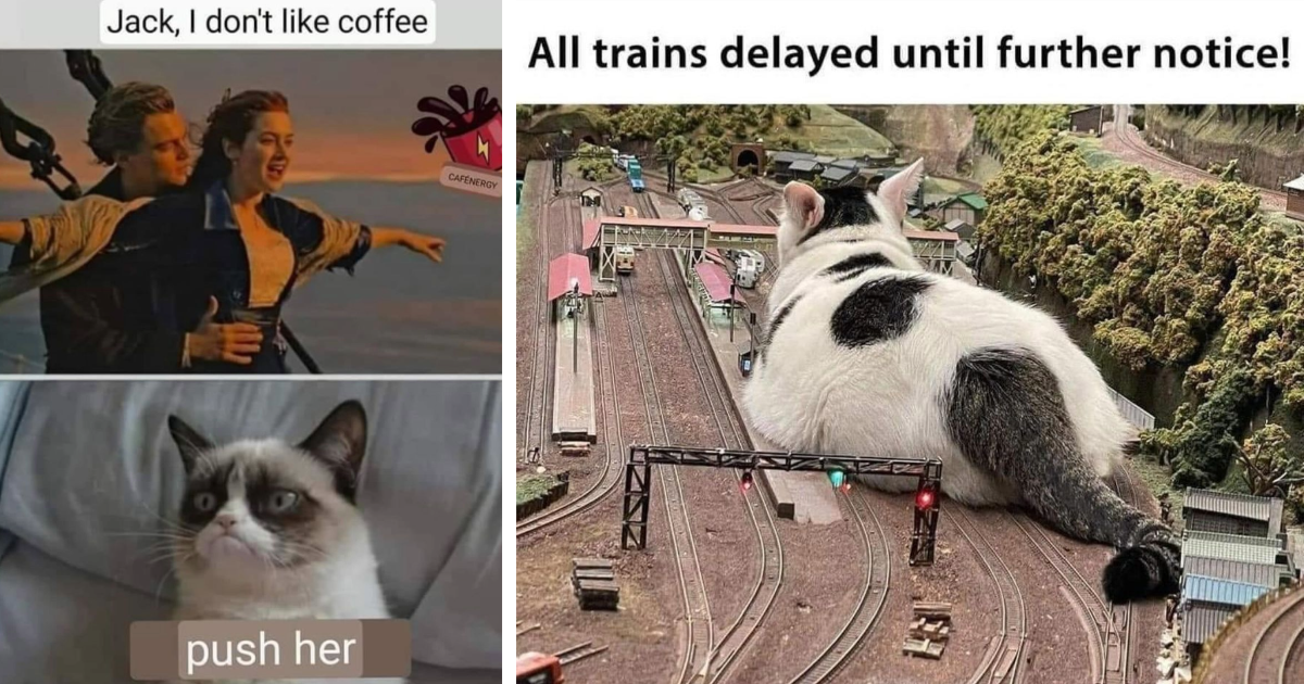 25 Grumpy Cat Posts To Prepaw You For The Work Week - I Can Has ...