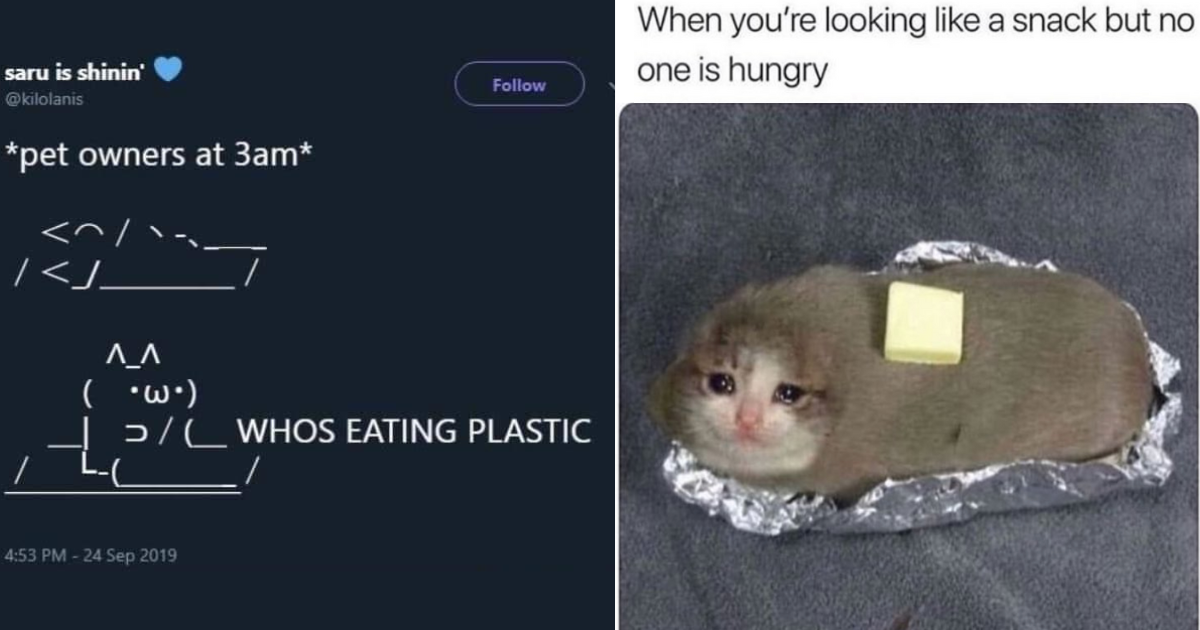 A Marvelous Monday Menagerie of Memes to Unleash the Hilarious Hijinks ...