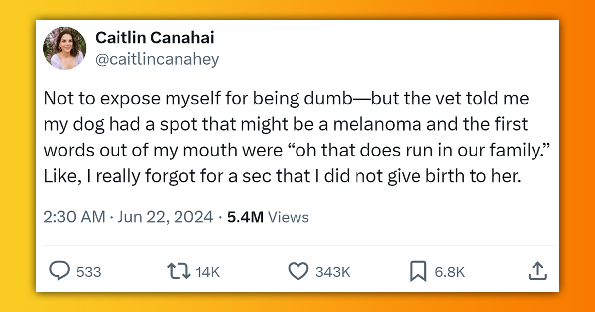 Forgetting That Our Pets Are Not Biologically Ours: Hilarious Moments ...