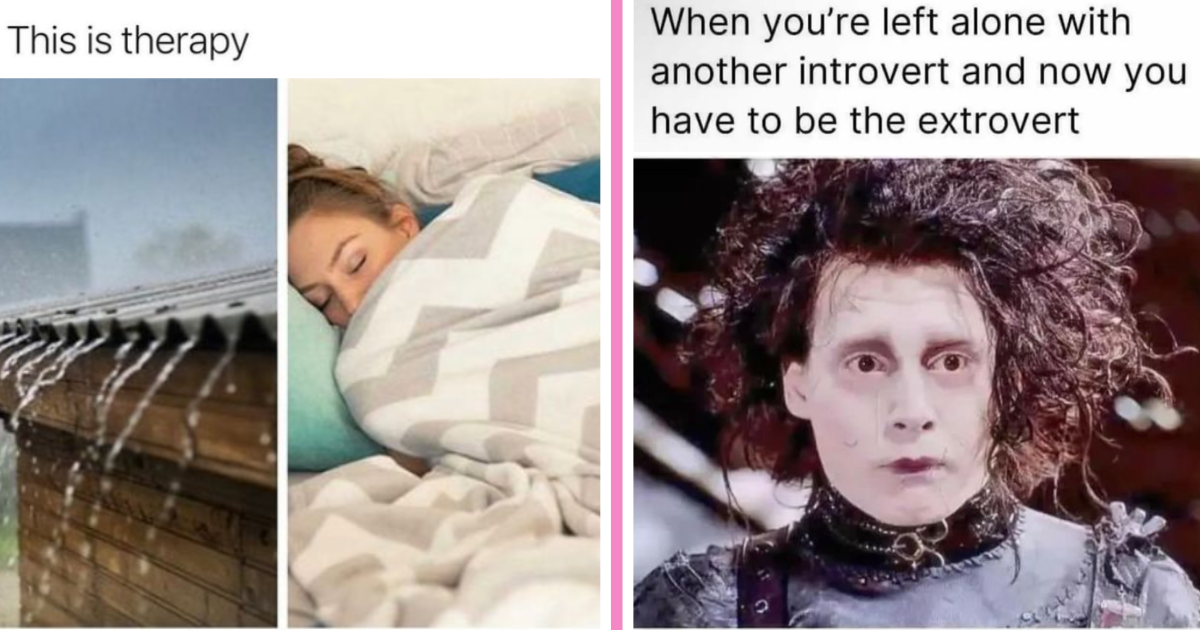 30 Immaculate Introvert Memes for the Introspective Girlies Waiting for ...