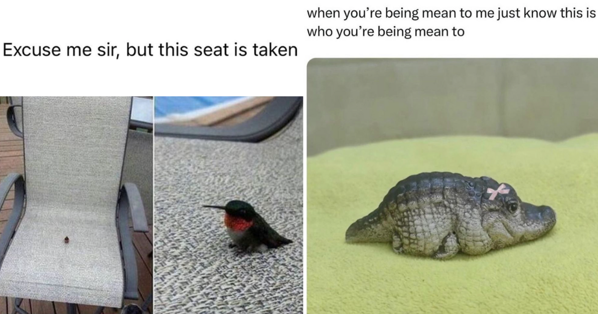 27 Blissful Baby Animal Memes to Soothe Your Soul - Animal Comedy - Animal Comedy, funny animals ...