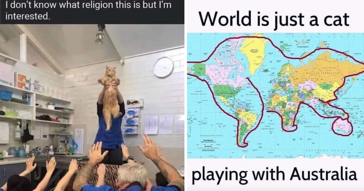 24 Cat Memes Purring With Feline Supremacy - I Can Has Cheezburger?