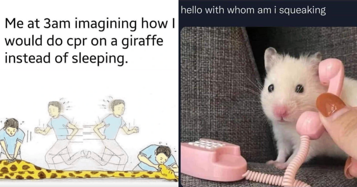 Gigantic Gallery of 38 Uplifting Animal Memes for a Little Giggle ...