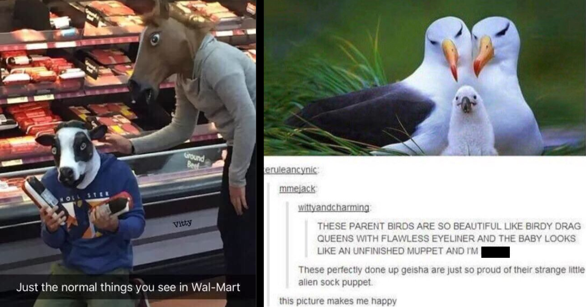 29 Animal Posts Captured From the Meme Jungle Showing That Wildlife is ...