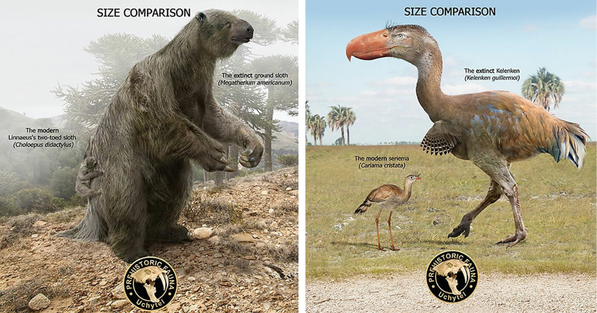 30 Fascinating Photos of Fossilized Animals Compared to Their Future ...